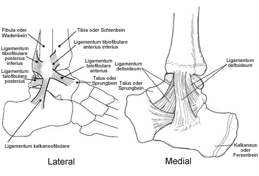 Slide 3.